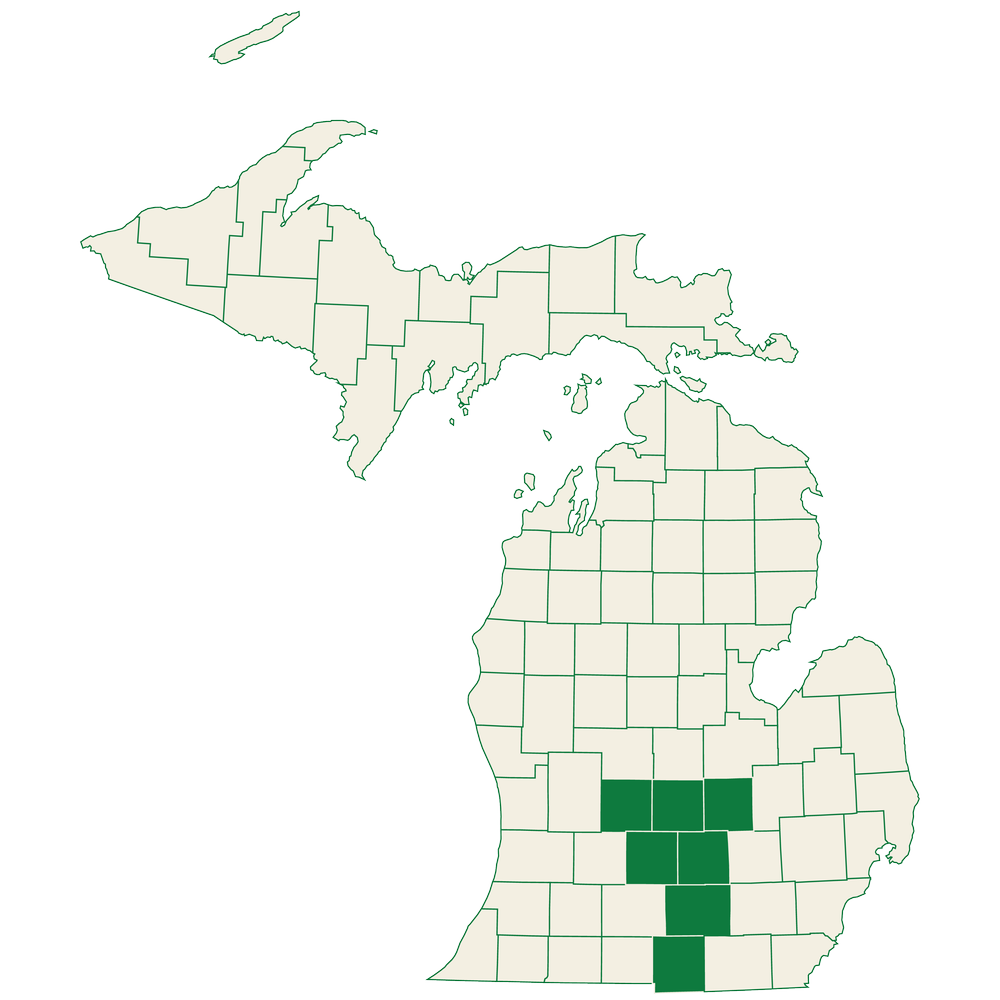 MMLC Conservation Plan — Mid-Michigan Land Conservancy