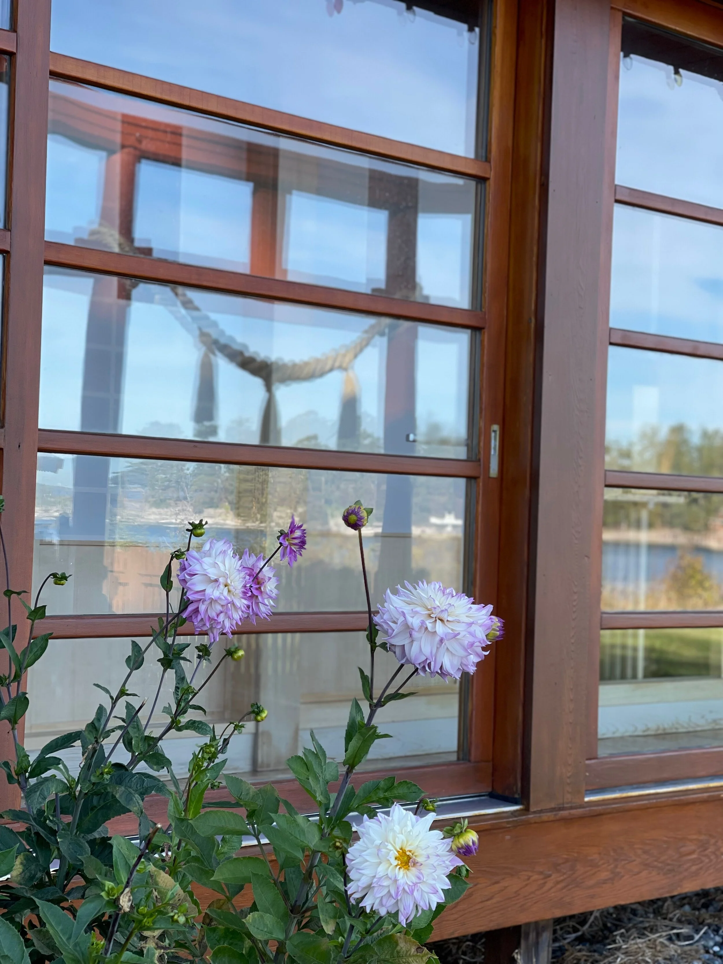 Gallery 2 — Shin Mei Spiritual Centre