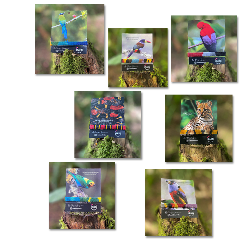 Diego Garzon — Anthony Lujan