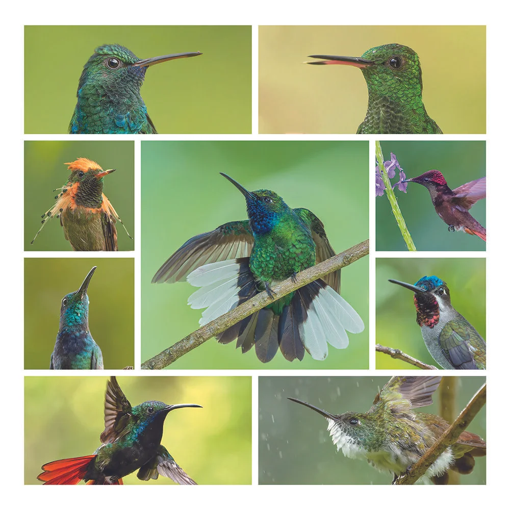 Online store - Enamel Pins and eBooks — Anthony Lujan