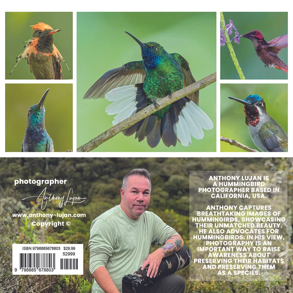 Online store - Enamel Pins and eBooks — Anthony Lujan