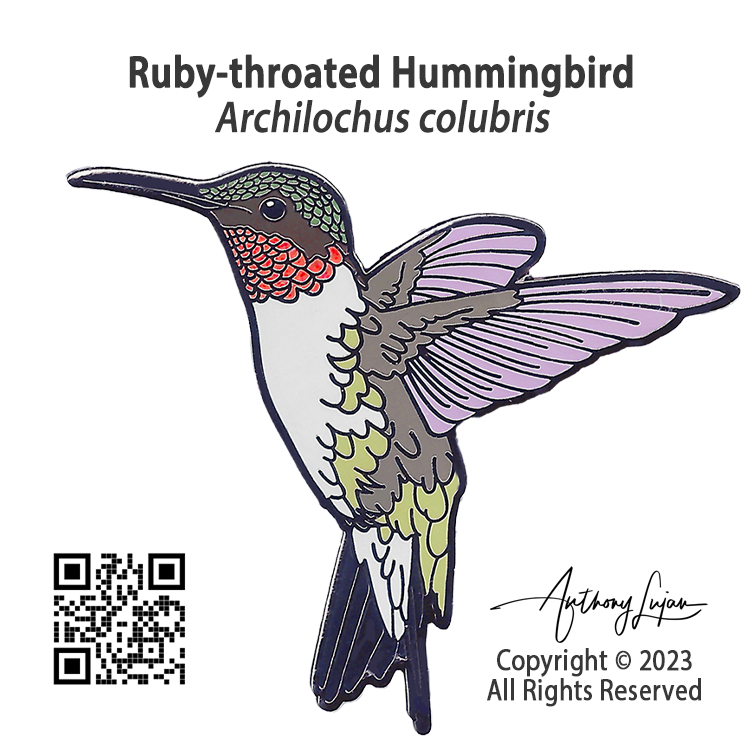 Bee Hummingbird Enamel Pin — Anthony Lujan