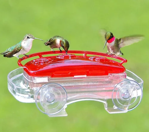 Explore These Innovative Hummingbird Feeder Designs — Anthony Lujan