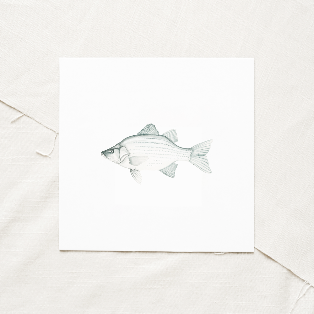 Large Mouth Bass Watercolor — Carson Bradbury