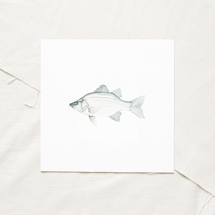 Large Mouth Bass Watercolor — Carson Bradbury