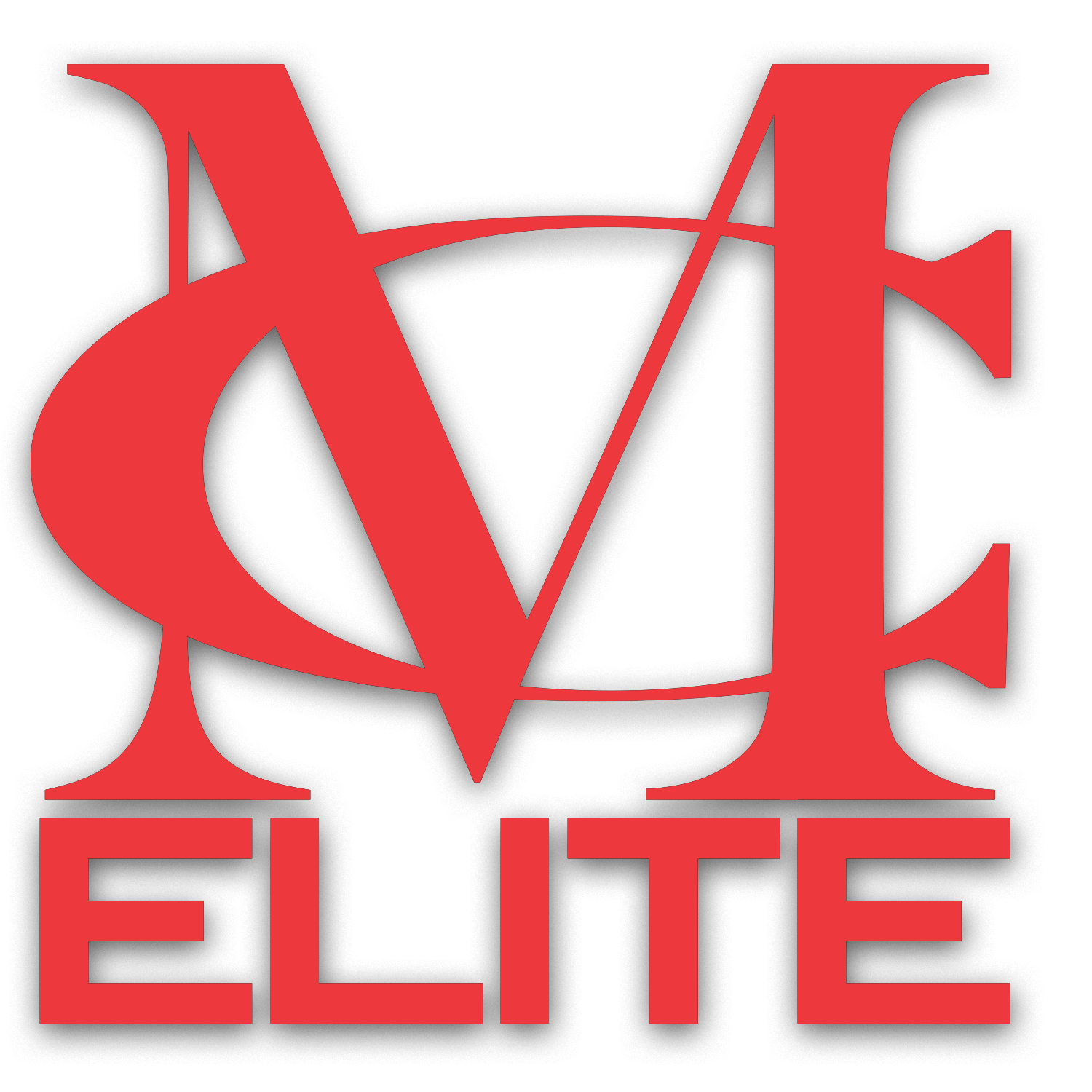 MC Elite — Lacore Family Foundation