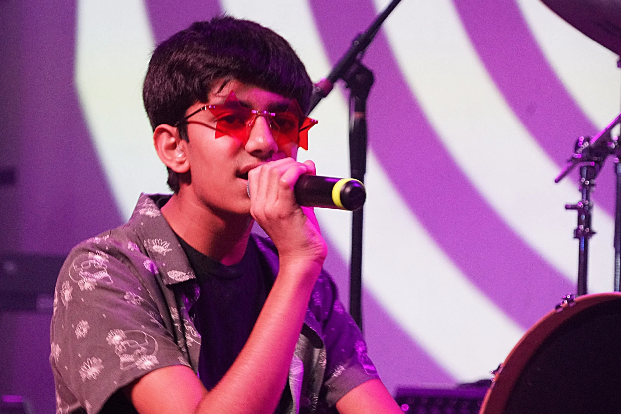 Private Music Lessons — Radha School of Music