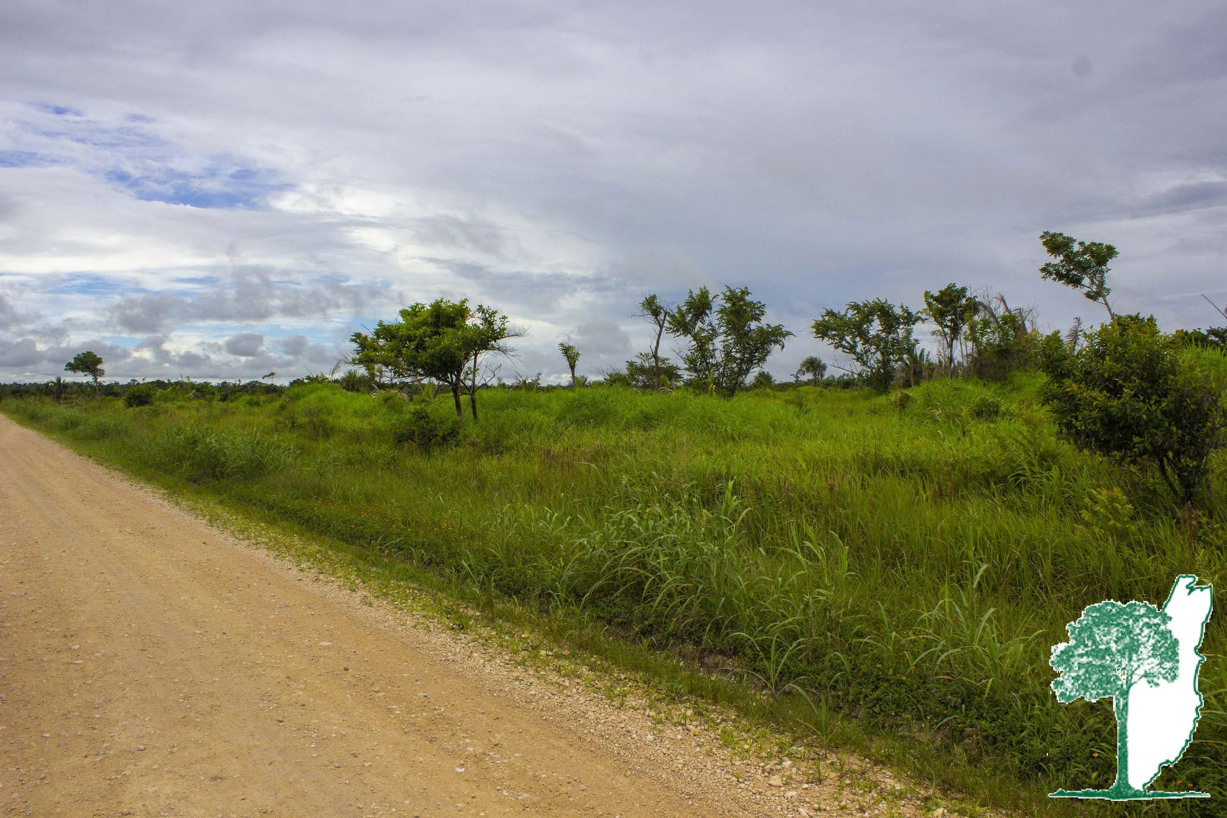 Farm Land — Green Real Estate Belize