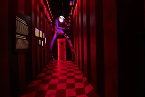 Tim Burton's Labyrinth — TIM BURTON