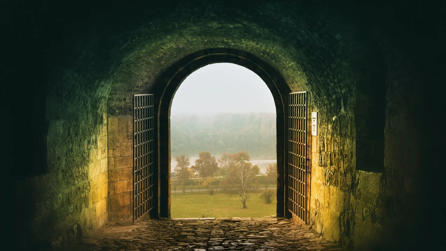 Archway Counseling & Wellness LLC