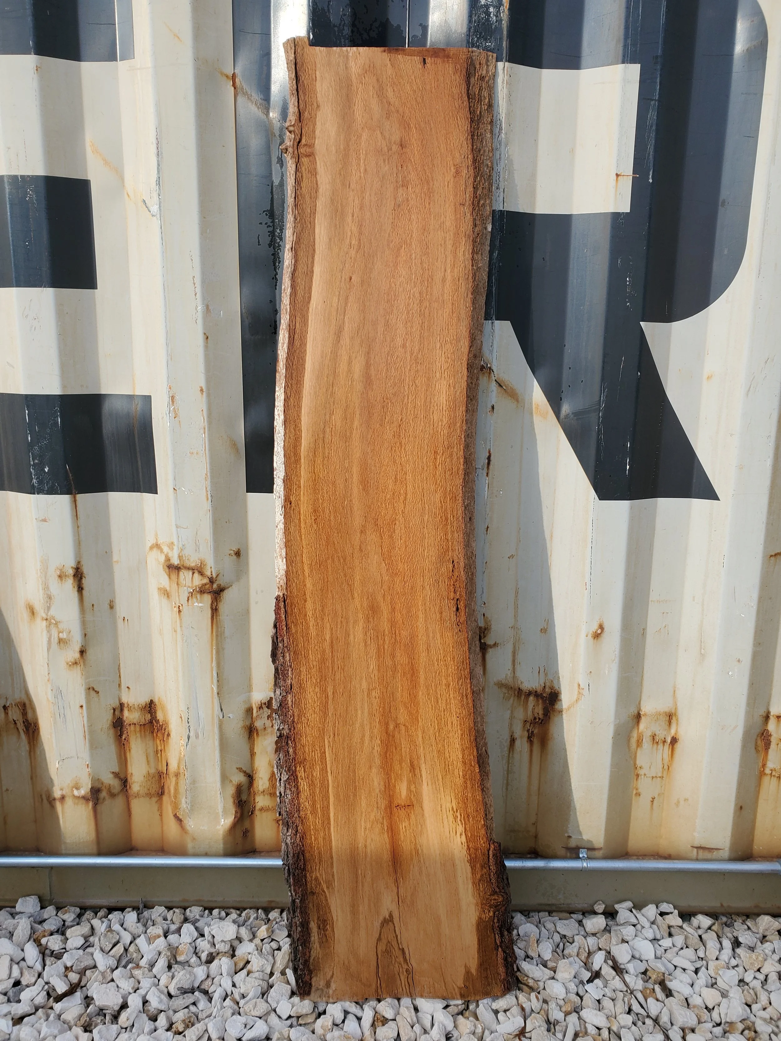 In Stock — Metal + Mottle