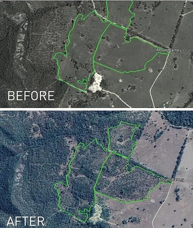 Yugambeh Land Enterprises