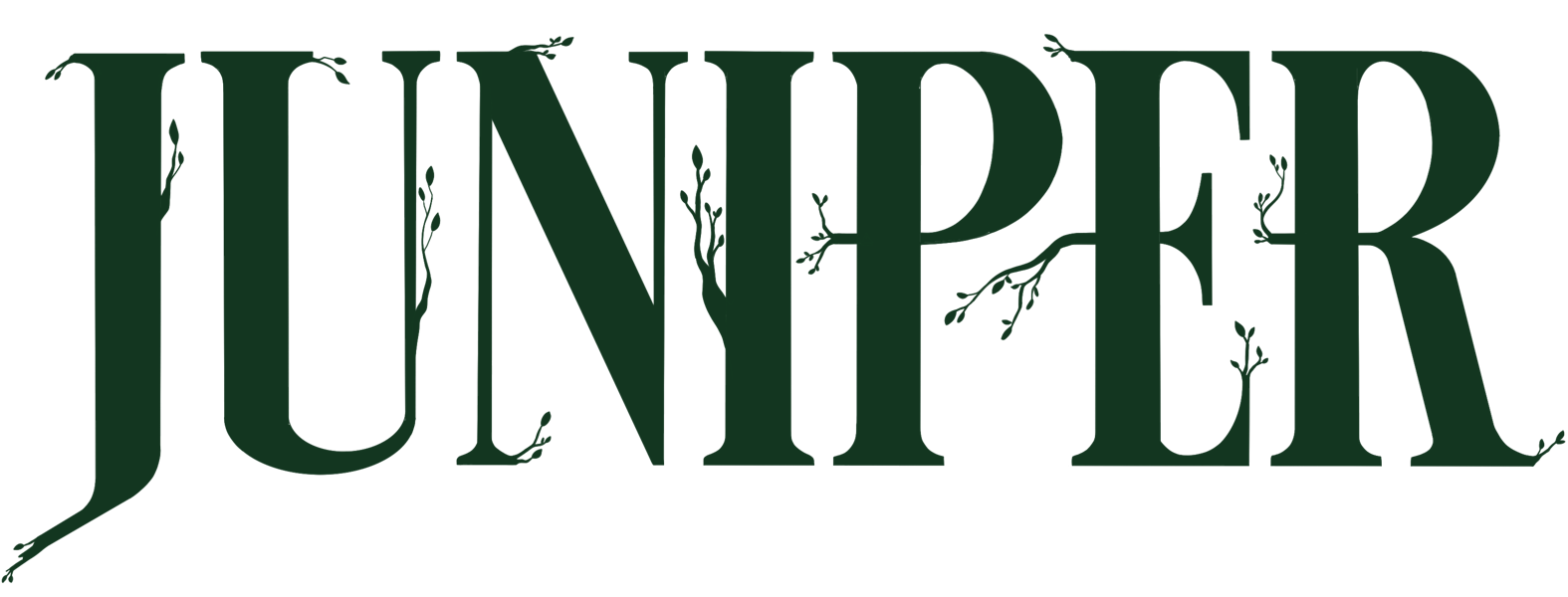 Juniper Logo Transparent