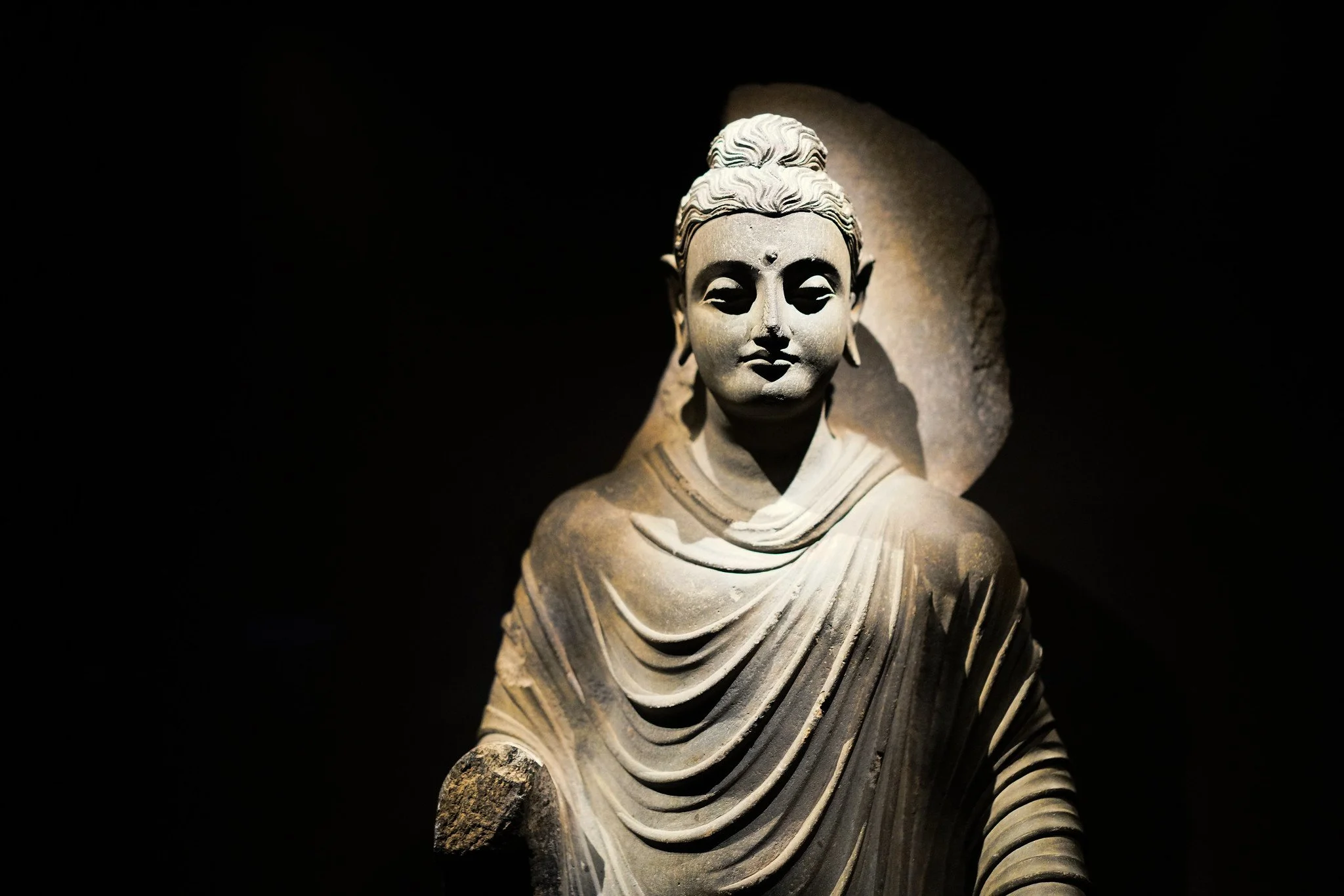 Insider tip - Visit The Tsz Shan Monastery in Hong Kong — J3 Private ...