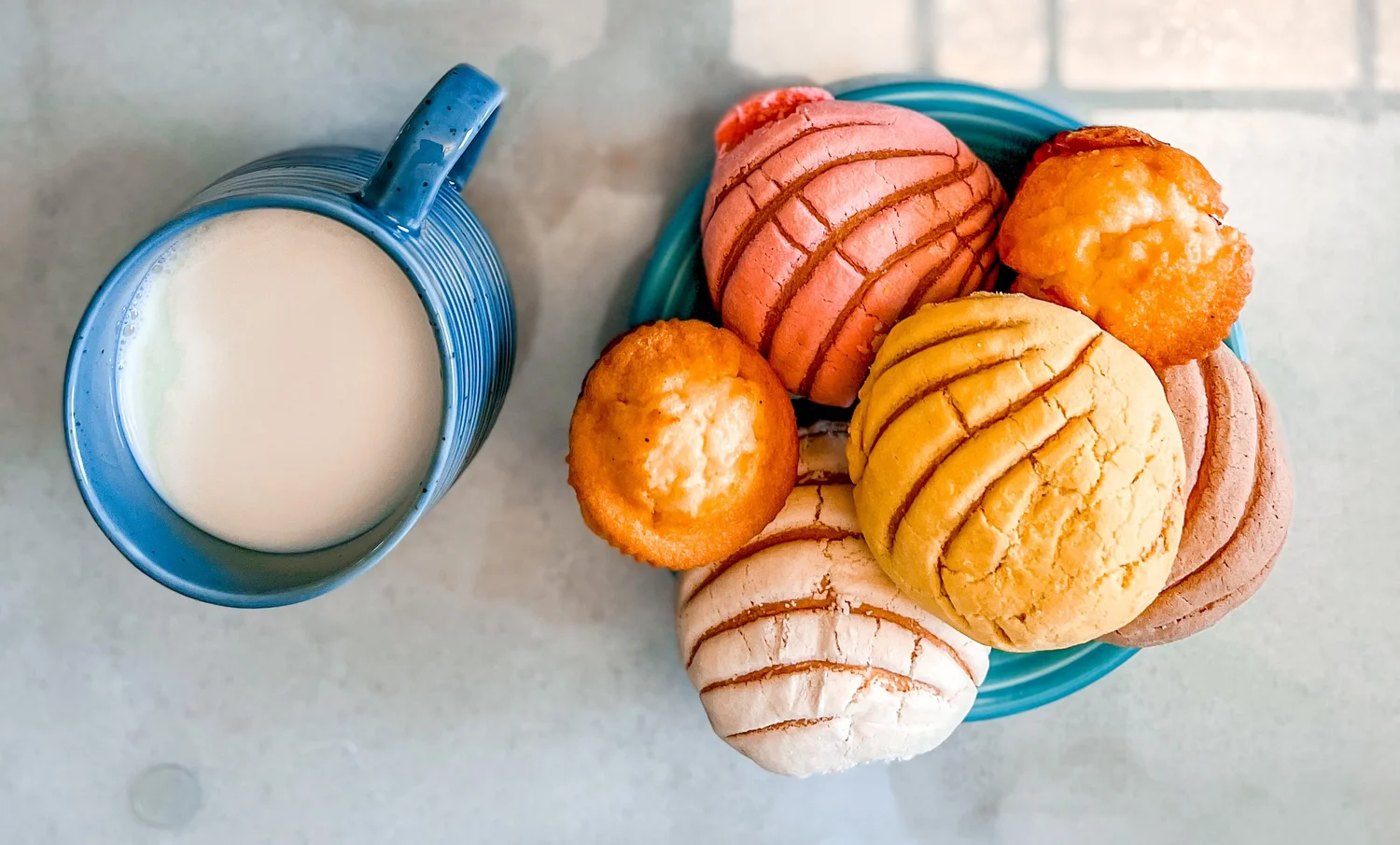 ¿Cuál es el origen de las conchas? — Rollos De Mujeres