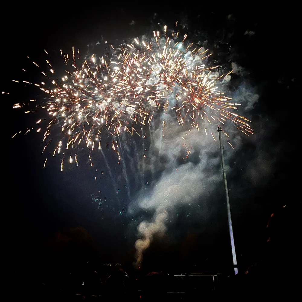 Let there be Light! — Lisa Moffat