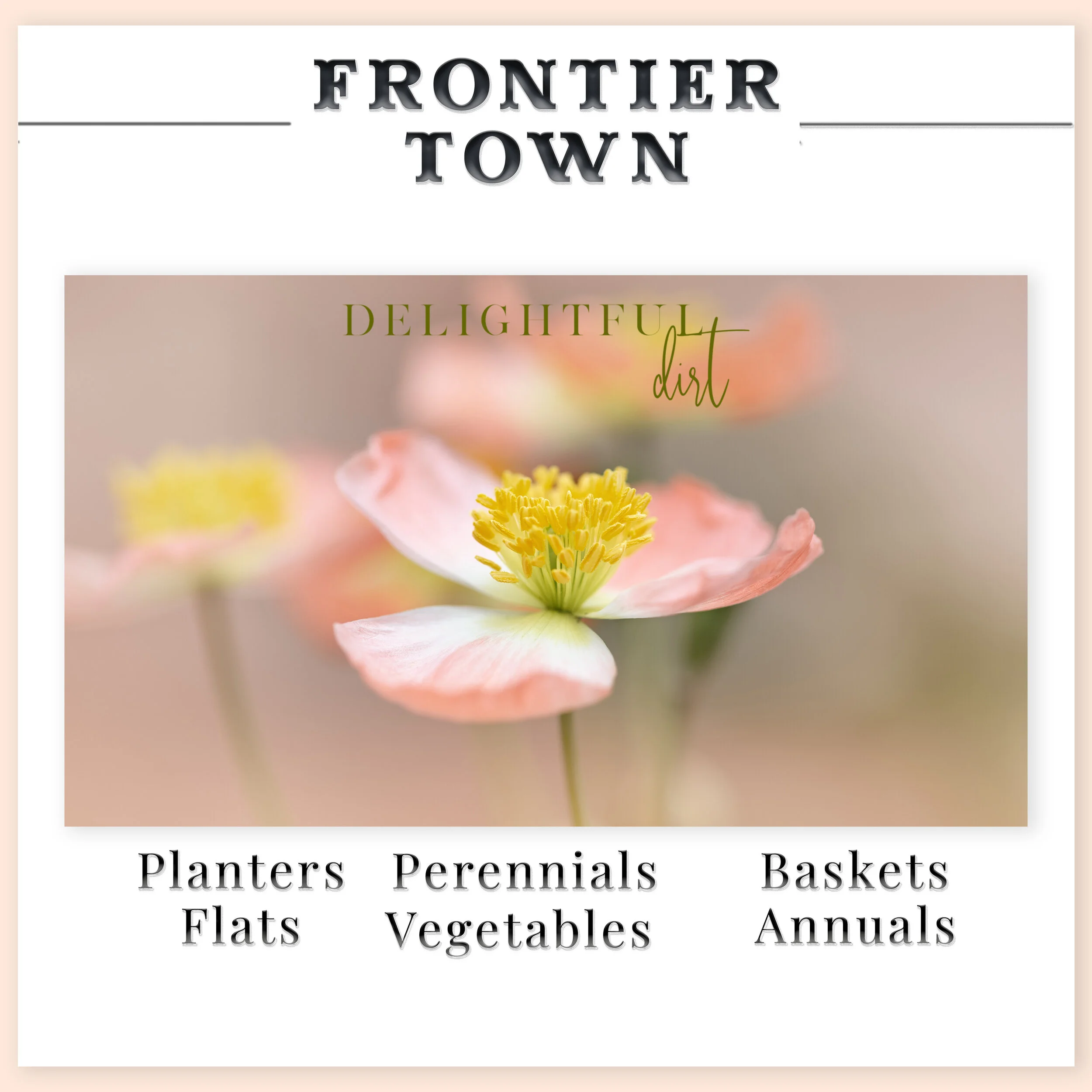 About — Frontier Town Romeo
