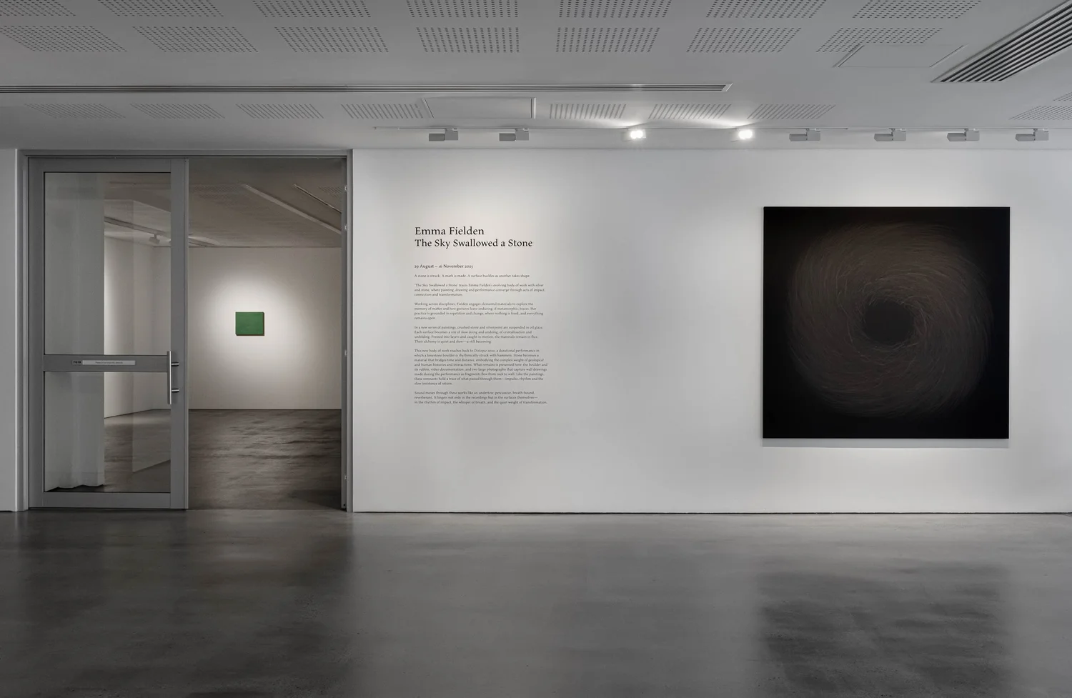 The Sky Swallowed a Stone - UNSW Galleries — EMMA FIELDEN
