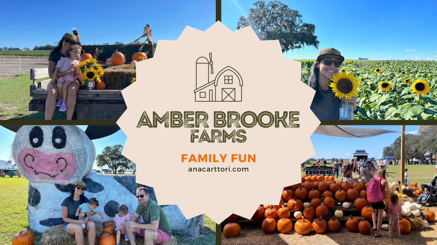 Amber Brook Farms Williston: A Family-Friendly Farm Adventure — Ana ...