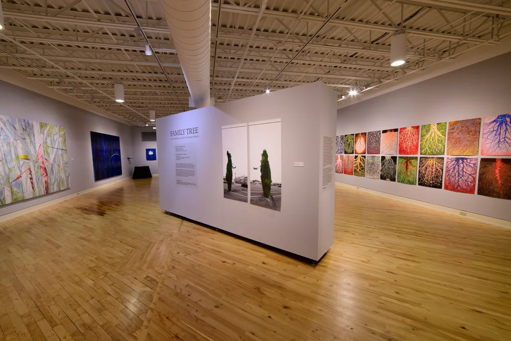 Erie Art Museum