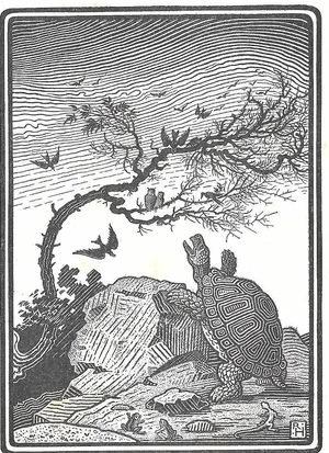Tales of Wisdom: What African Fables Teach About Community — NKENNE