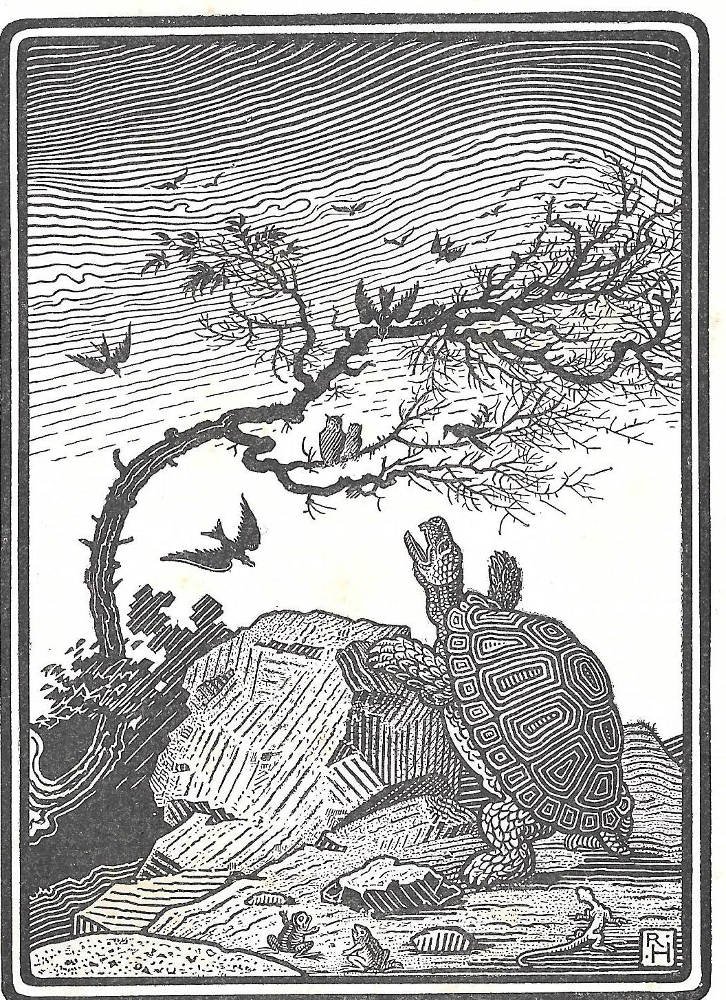 Tales of Wisdom: What African Fables Teach About Community — NKENNE