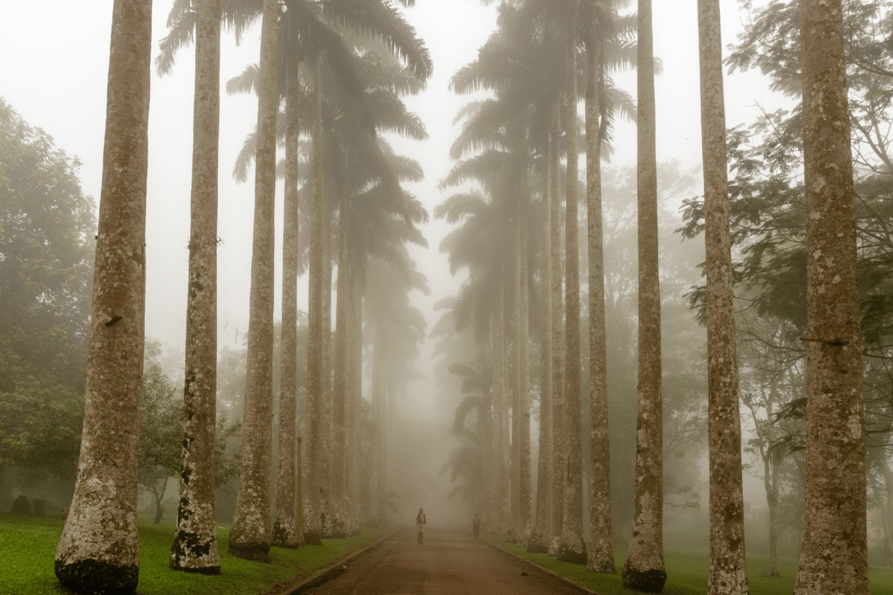 Days, Months, and Seasons in Twi: Time the Akan Way! — NKENNE