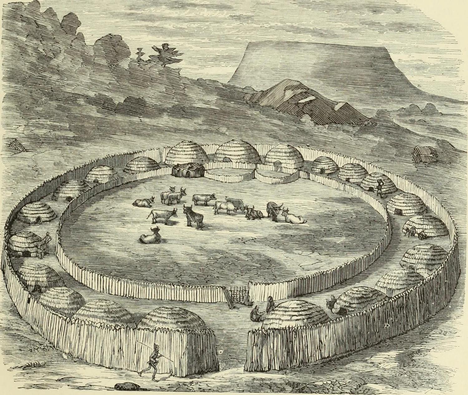 Inside a Zulu Homestead: Traditions of the Family and Home — NKENNE
