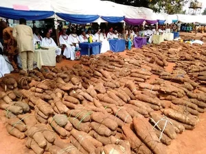 The Beauty of the New Yam Festival: A Celebration of Harvest and ...