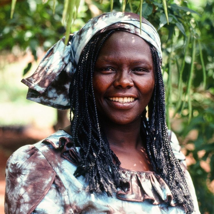 African Women Series: Wangari Maathai — NKENNE