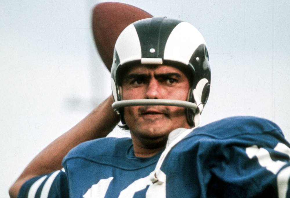 8 Filipino-American NFL Players Who Made Super Bowl History — KOLLECTIVE HUSTLE