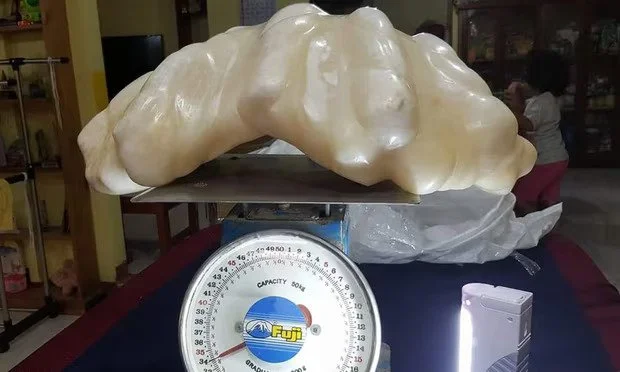 The Giant 100 Million Dollar Palawan Pearl: A Fisherman's Hidden ...