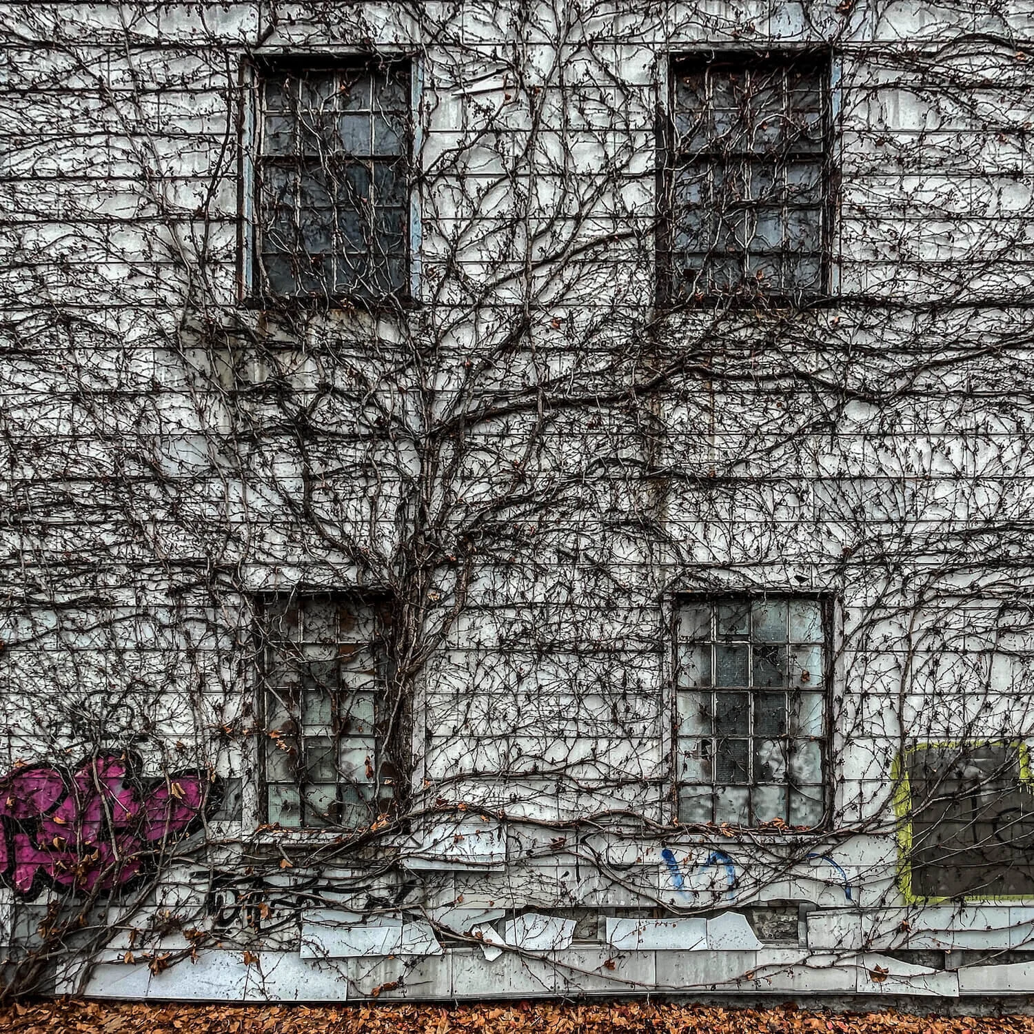 How to shoot RAW on iPhone - including Apple ProRAW