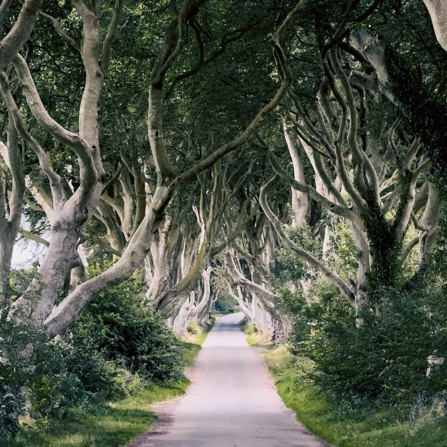 12 Iconic Photo Spots in Ireland to visit during your next Road Trip