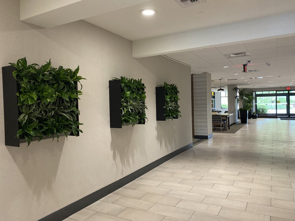 Live Walls — Integrated Plantscapes