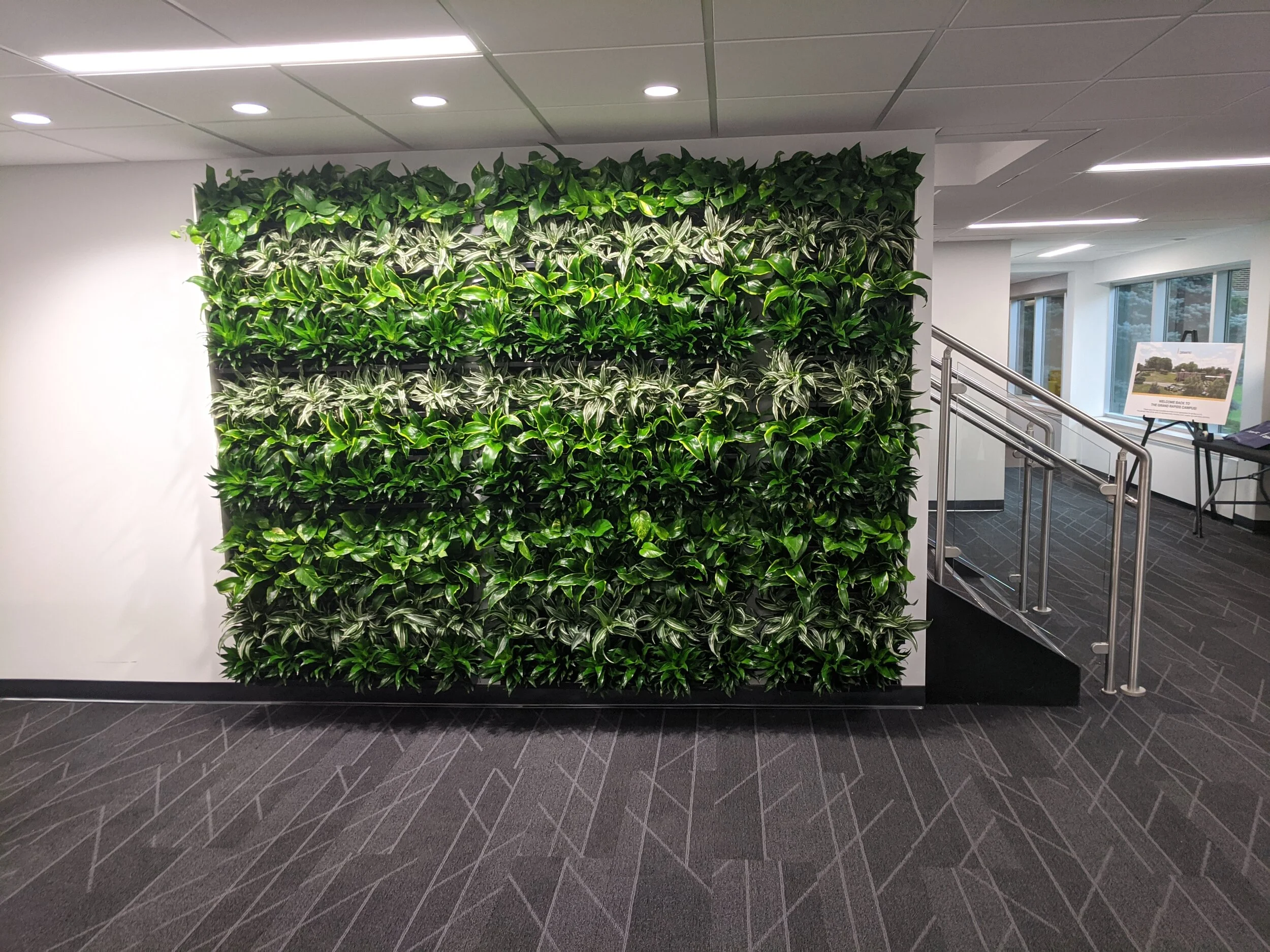 Live Walls — Integrated Plantscapes