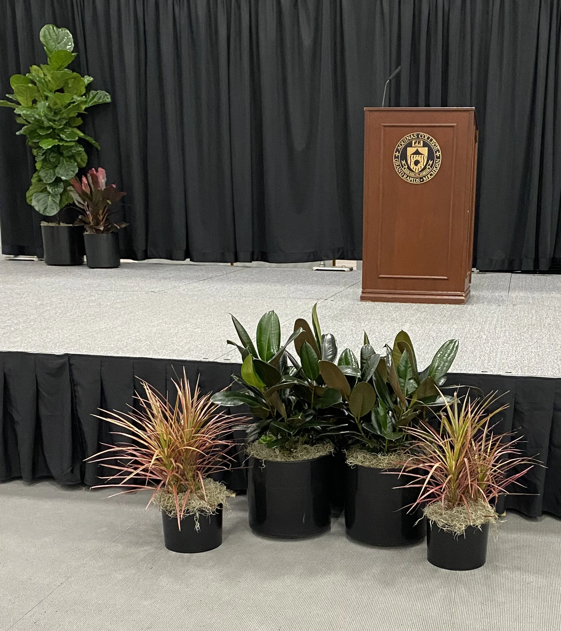 Plant Rentals — Integrated Plantscapes