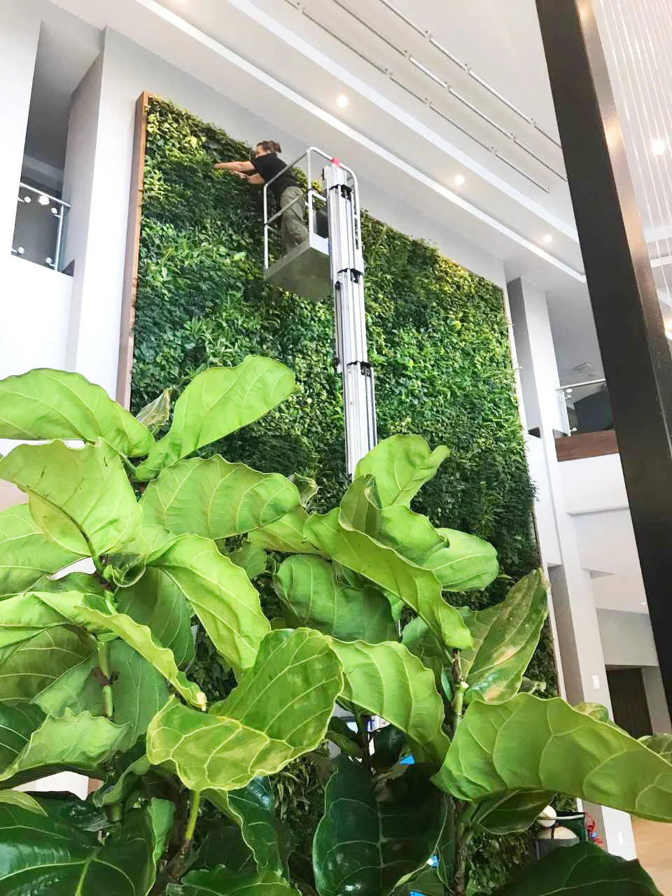 Integrated Plantscapes