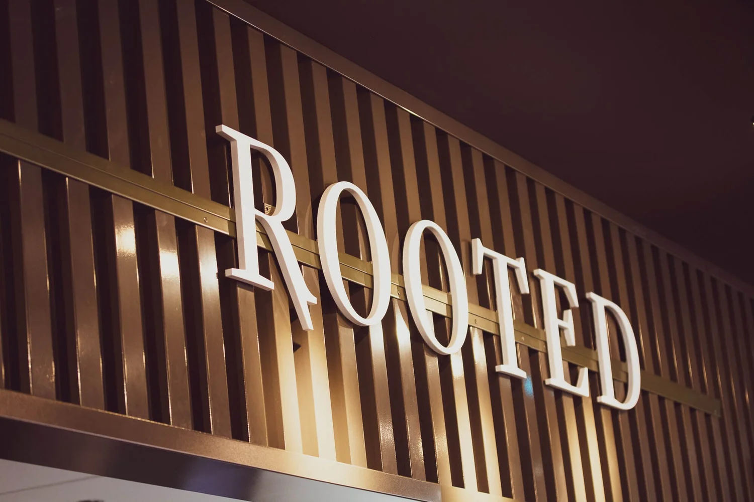 Rooted Restaurant in Boulder, CO | Logo and Branding Design in Boulder