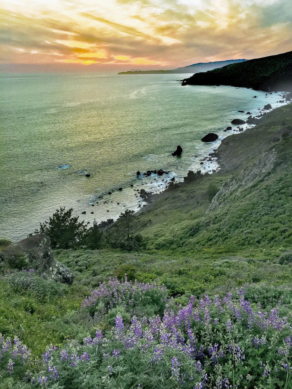 Sukhasiddhi Foundation: Tibetan Buddhism in the West