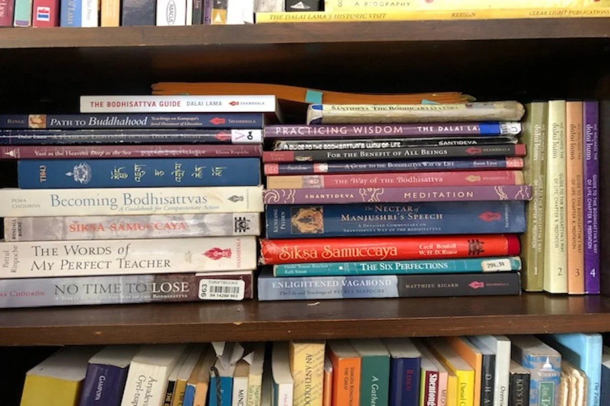 Susan Shannon on Finding the Joy in Suffering — Sukhasiddhi Foundation