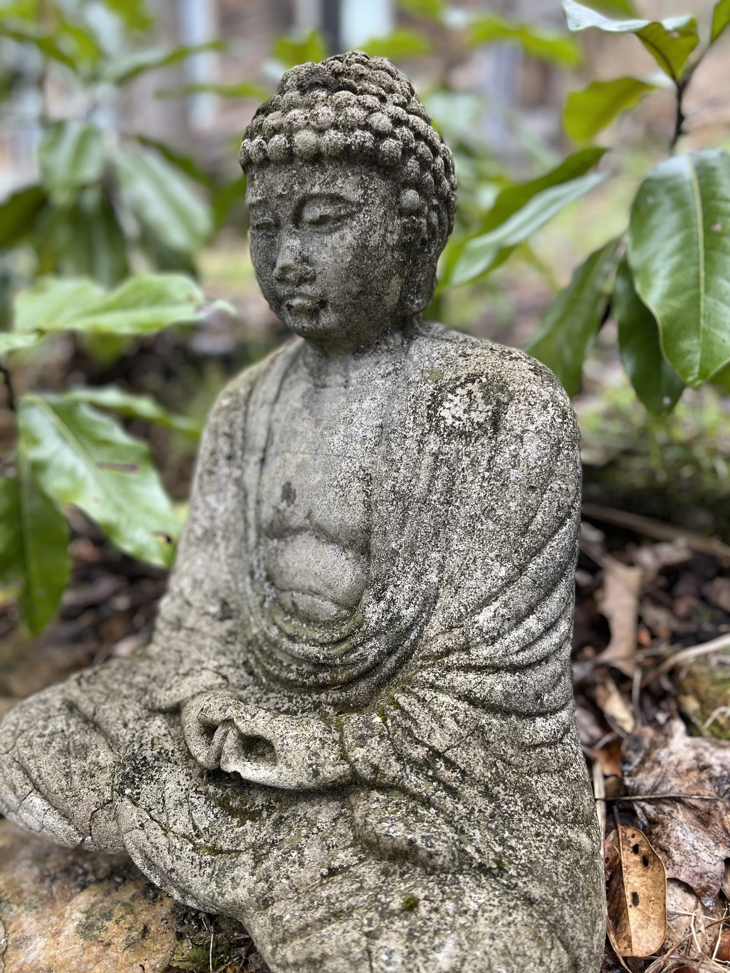 Refuge Vow Ceremony — Sukhasiddhi Foundation