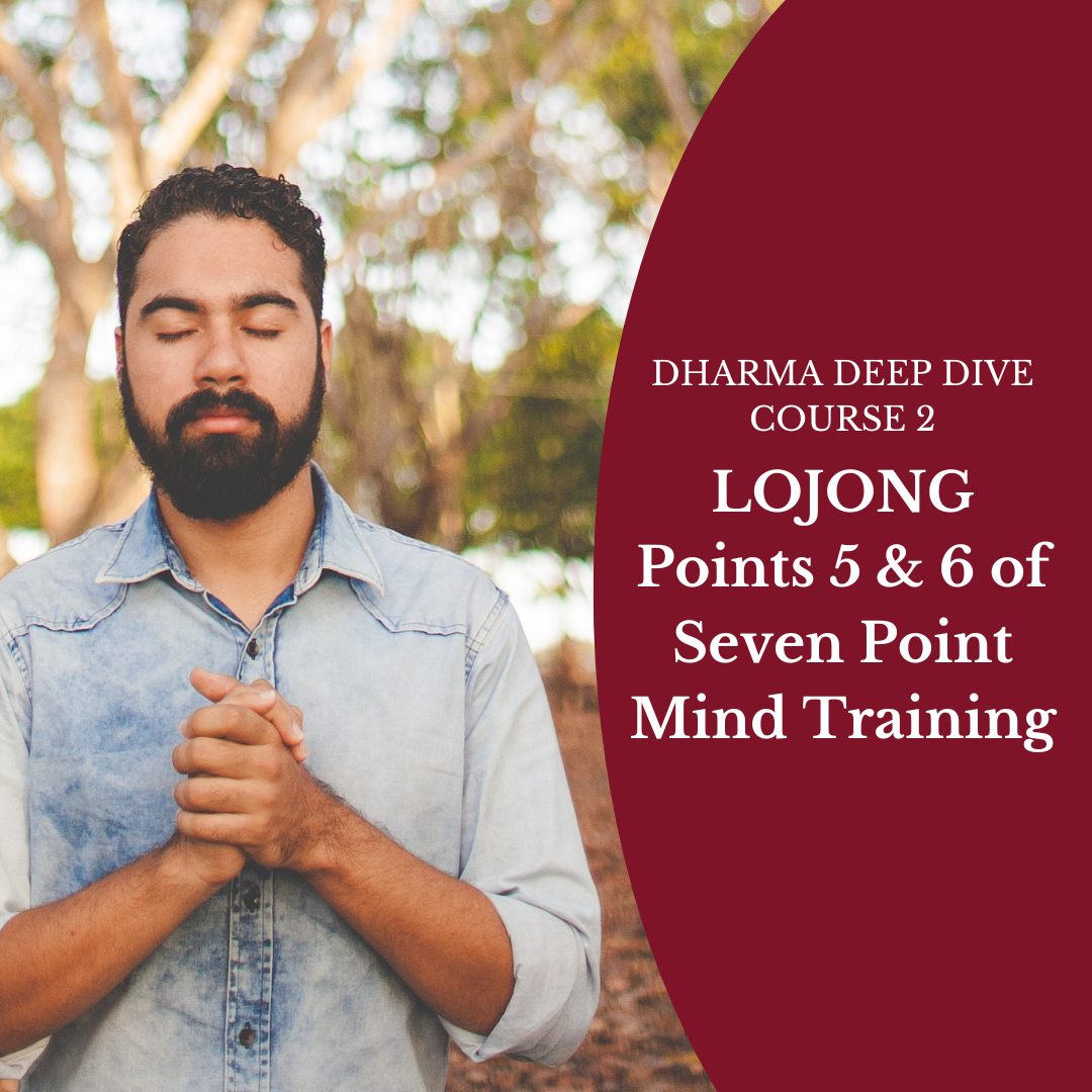 Tibetan Buddhist Study Programs & Classes — Sukhasiddhi Foundation