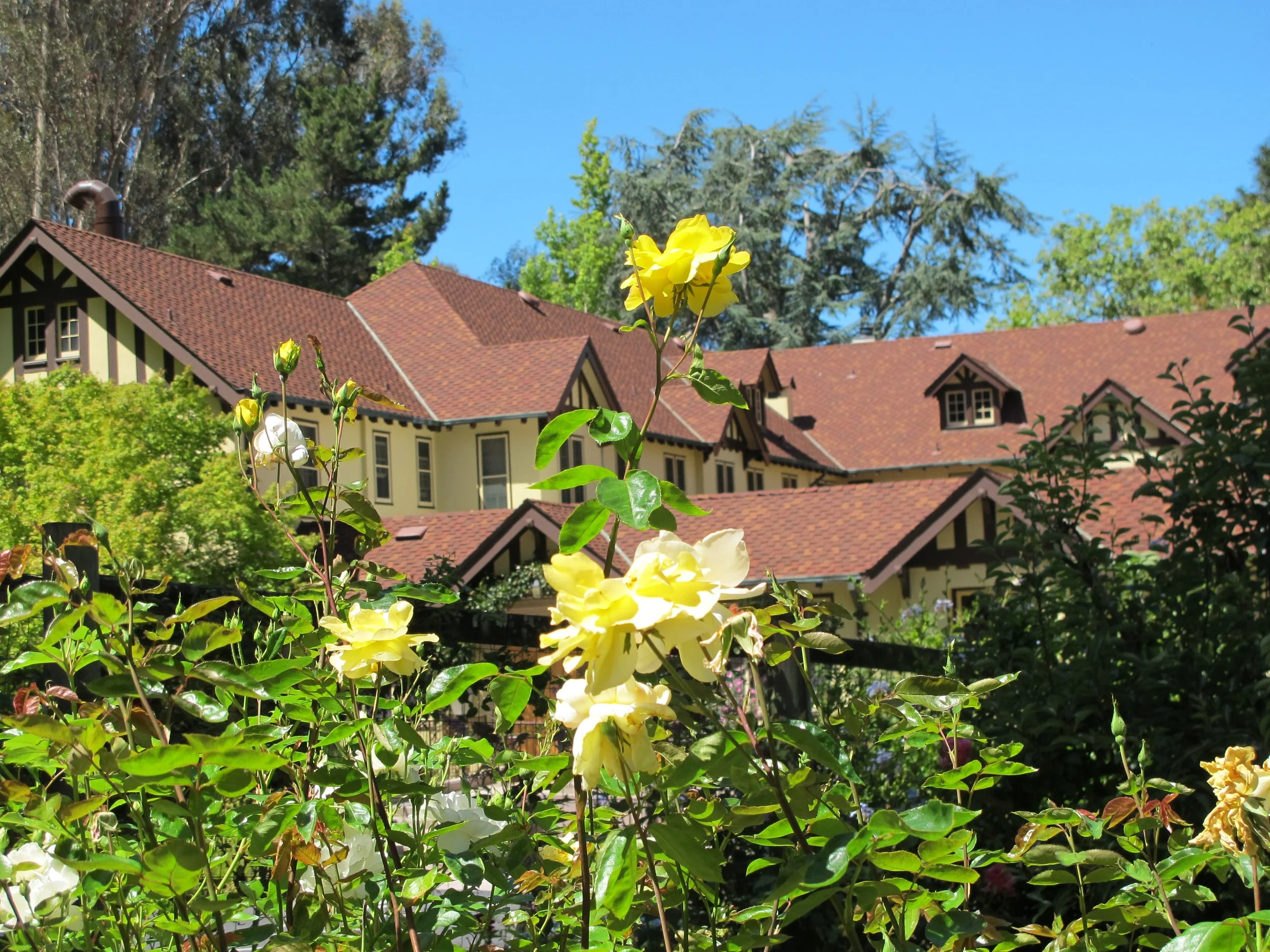 Tibetan Buddhist Study Programs & Classes — Sukhasiddhi Foundation