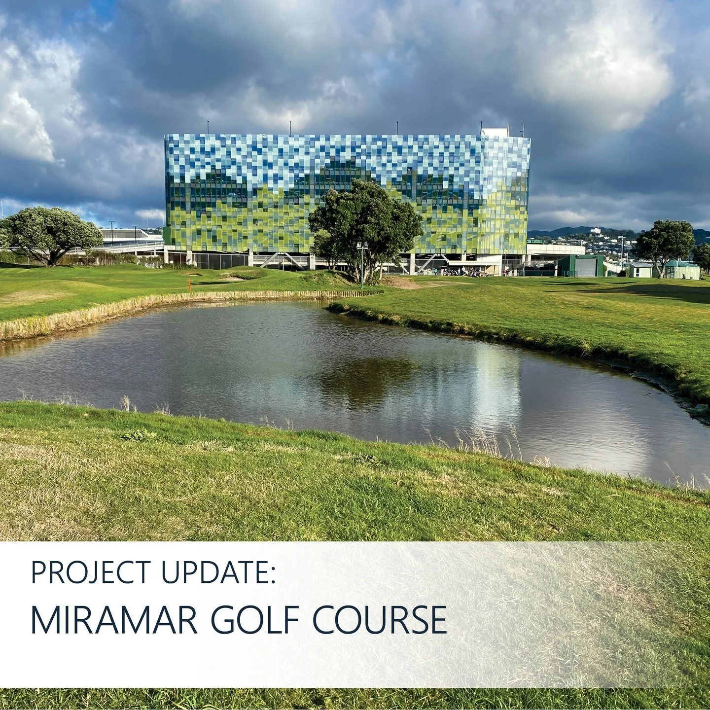 Project Managers doing more than Project Management — BPM Ltd