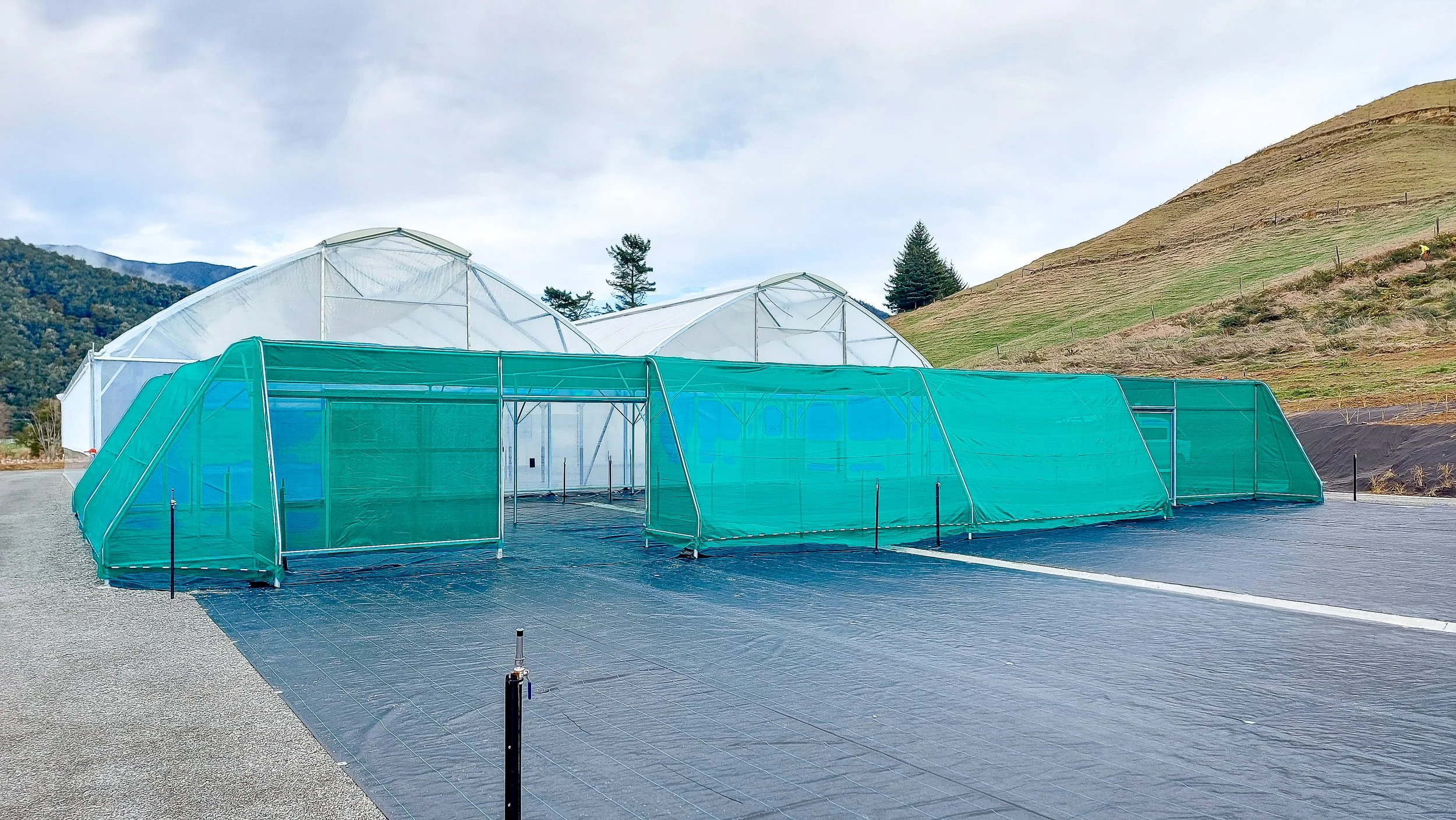 Ngāti Kuia Native Trust | Titiraukawa Native Plant Nursery — BPM Ltd