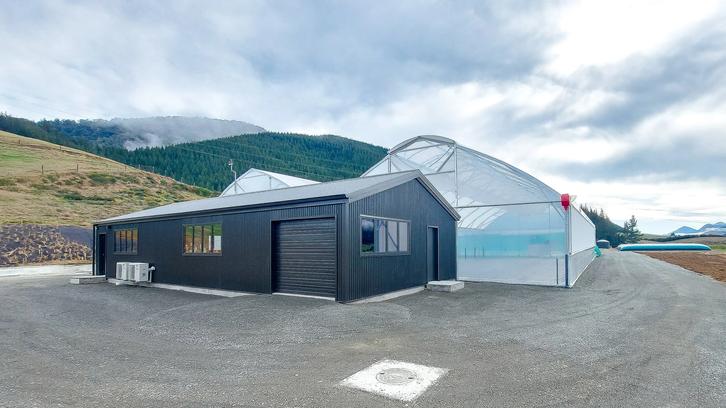 Ngāti Kuia Native Trust | Titiraukawa Native Plant Nursery — BPM Ltd