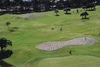 Building Wellington City's First Driving Range & $16.2m Redevelopment ...