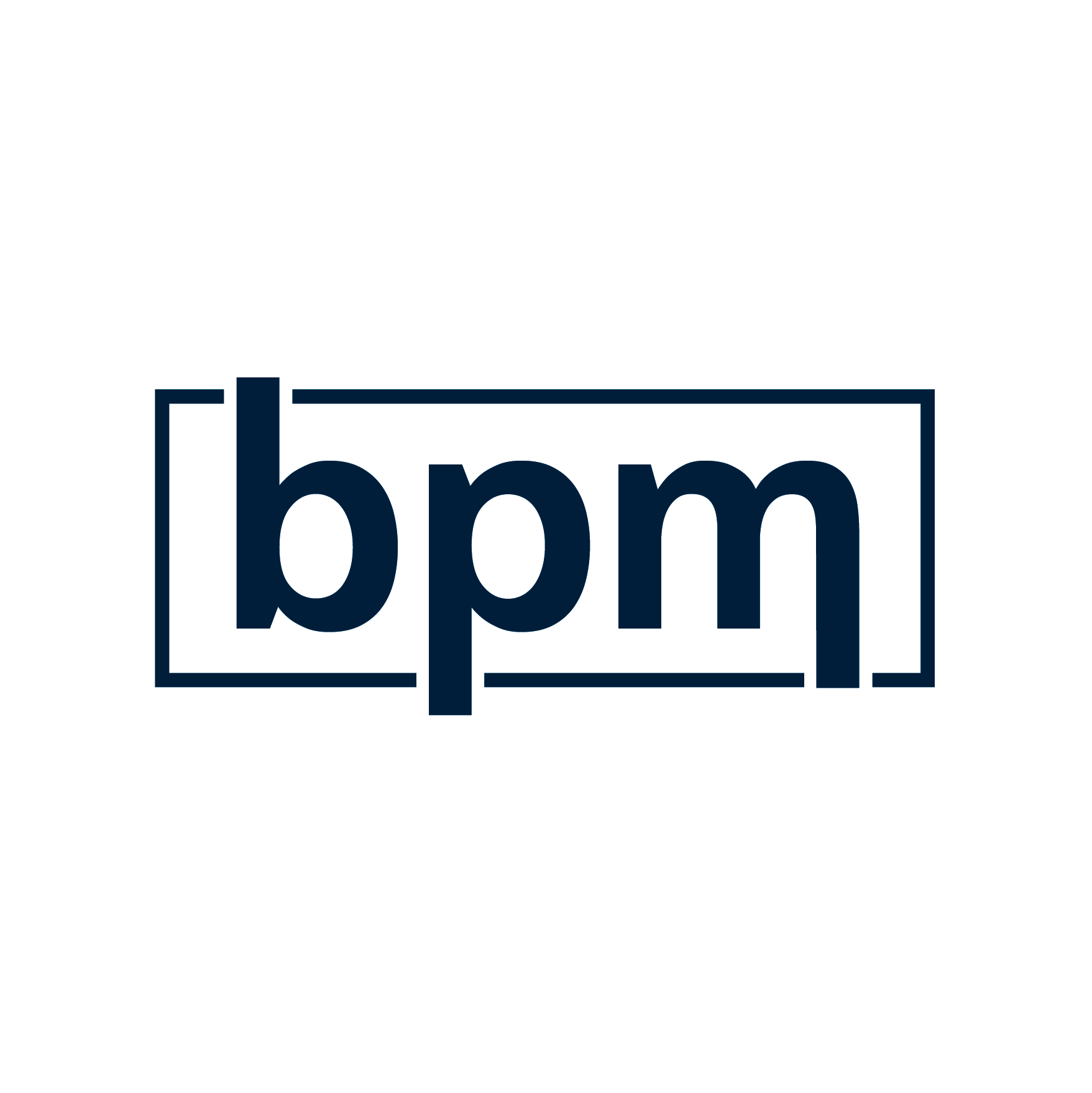 Need to be your own Project Manager? — BPM Ltd