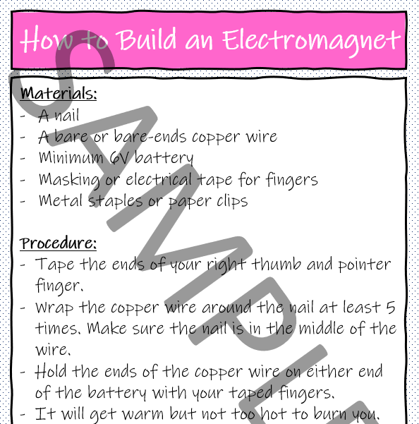 Electromagnetism Experiment — ROXY'S
